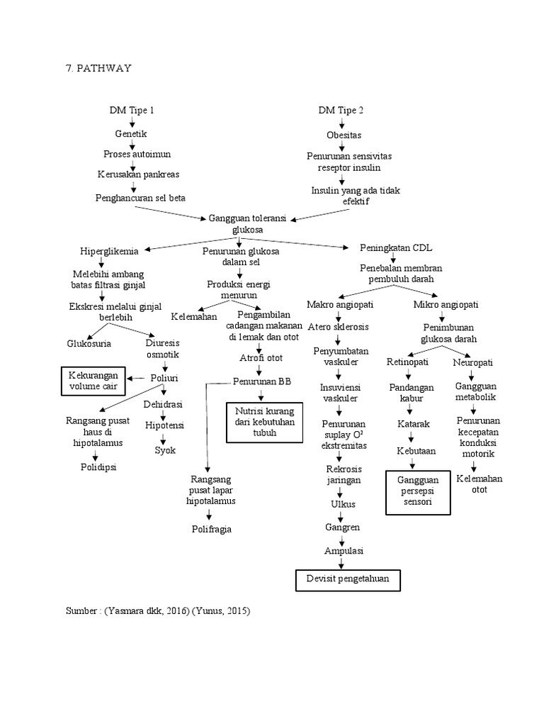Pathway DM Baru | PDF