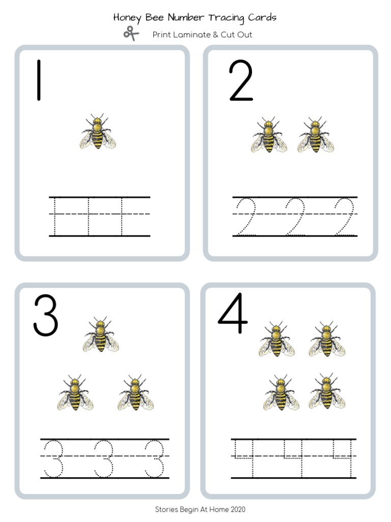 Honey Bee Number Tracing Cards | PDF