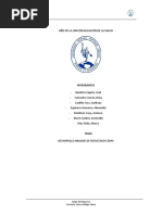 Temas de HySat Medallia | PDF
