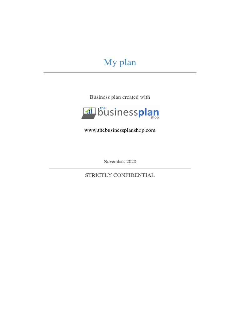 Business Plan PDF | PDF | Balance Sheet | Financial Accounting