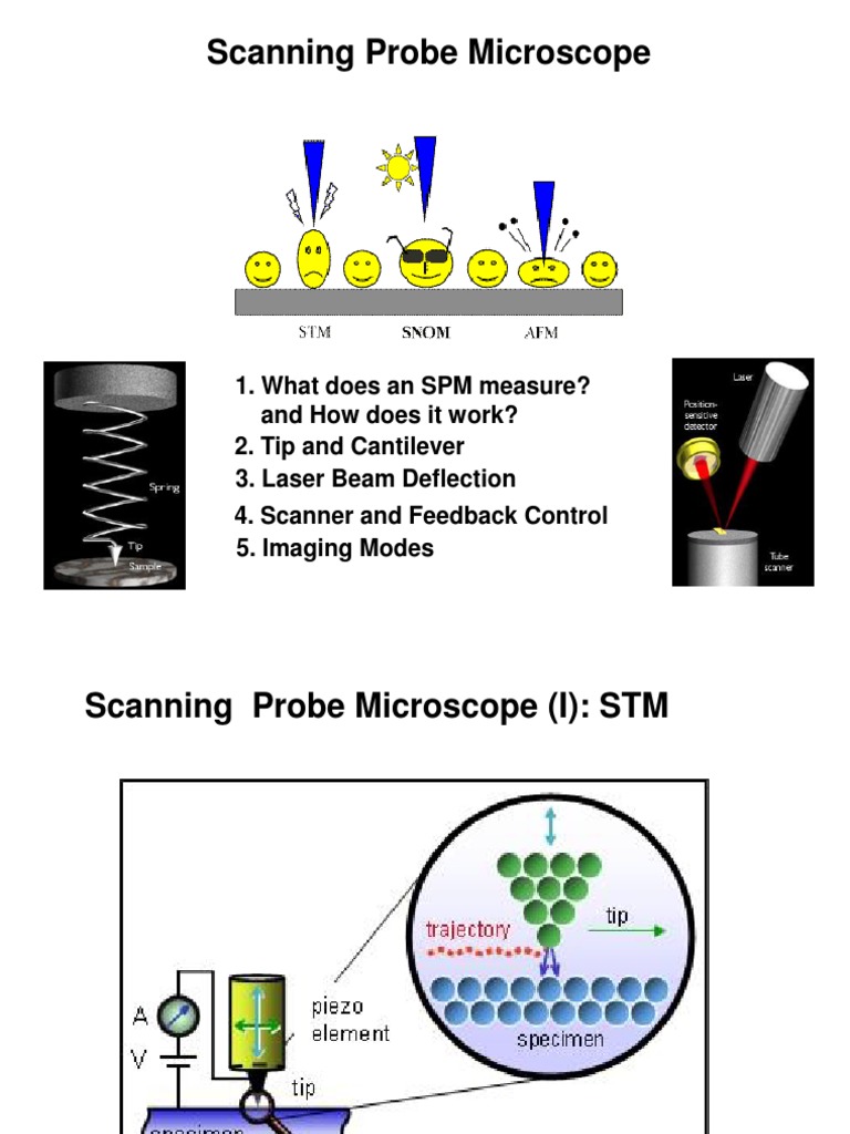 Scanning Probe Microscope | PDF | Scanning Tunneling Microscope | Microscope
