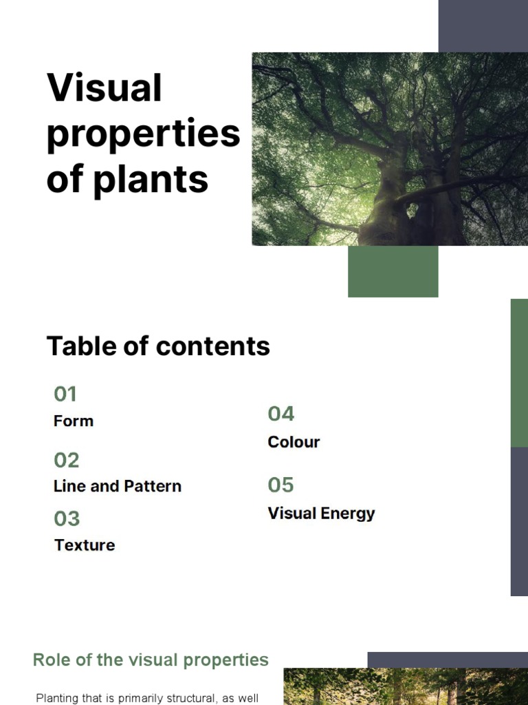 Visual Properties of Plants PDF | PDF | Shrub | Trees