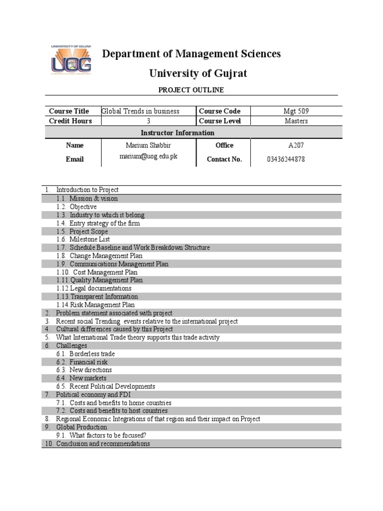 MGT 509 Projct Outline | PDF
