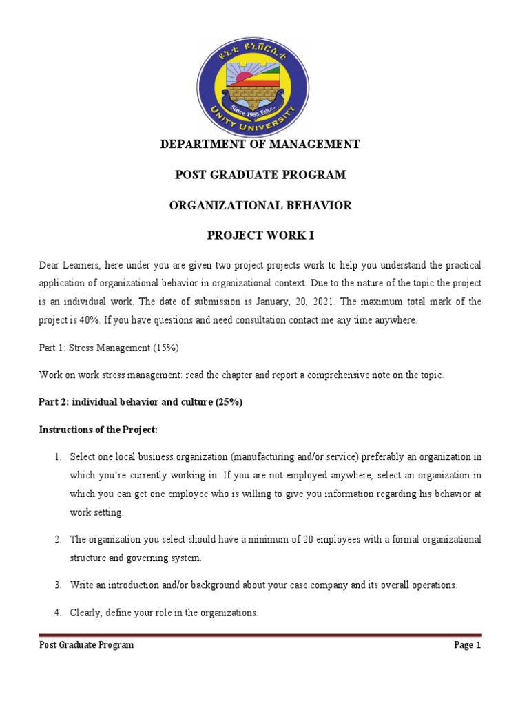 Organizational Behavior Project Guidelines | PDF