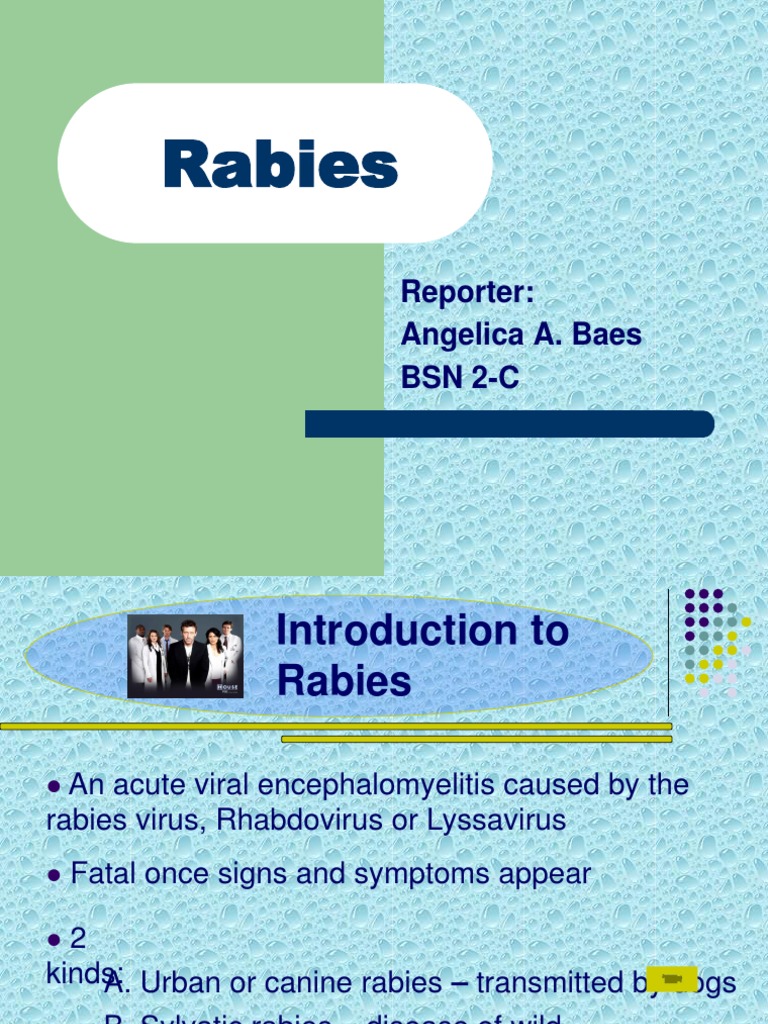 Rabies Introduction Encephalomyelitis Caused Fatal Virus | PDF | Rabies ...