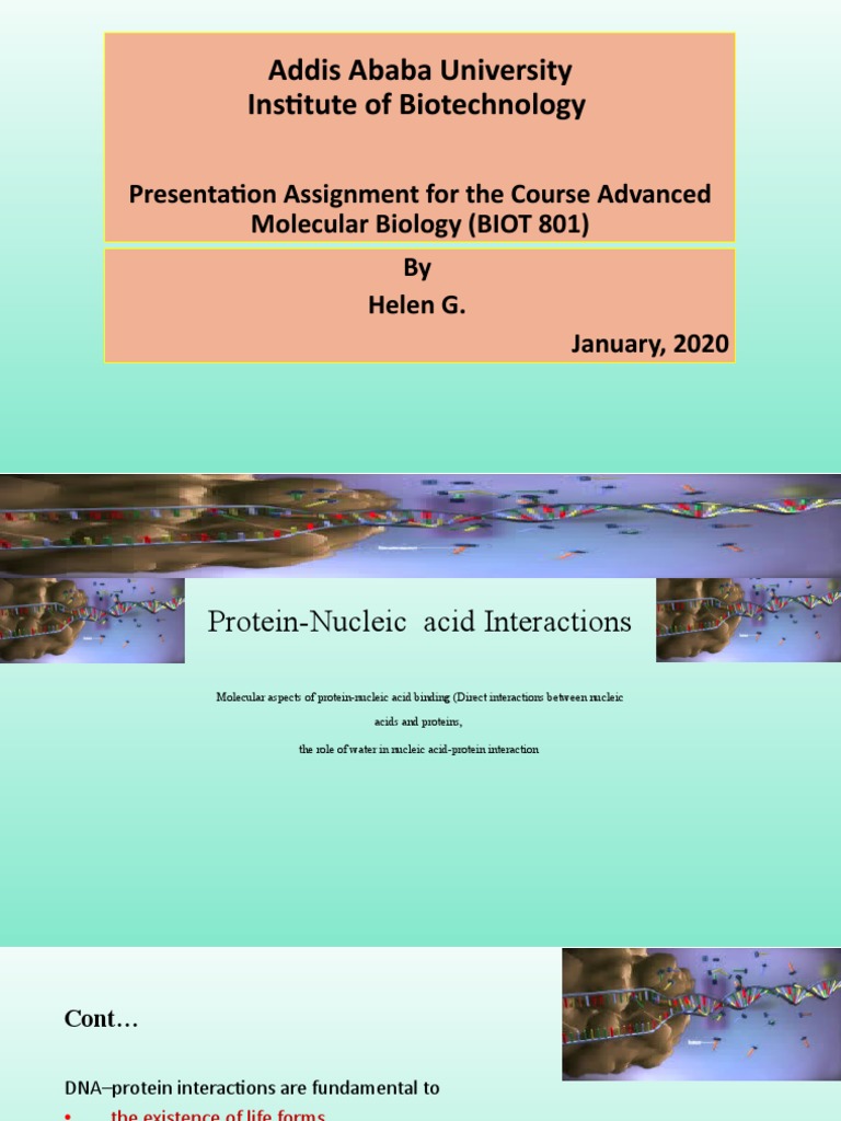 Protein-Nucleic Acid Interactions | PDF | Alpha Helix | Dna