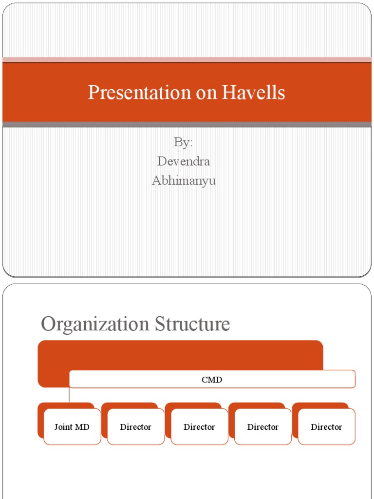 Havells Organizational Structure Overview | PDF