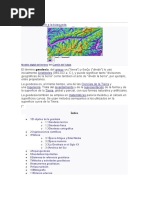Qué Es La Geodesia | PDF | Geodesia | Datos geográficos e información