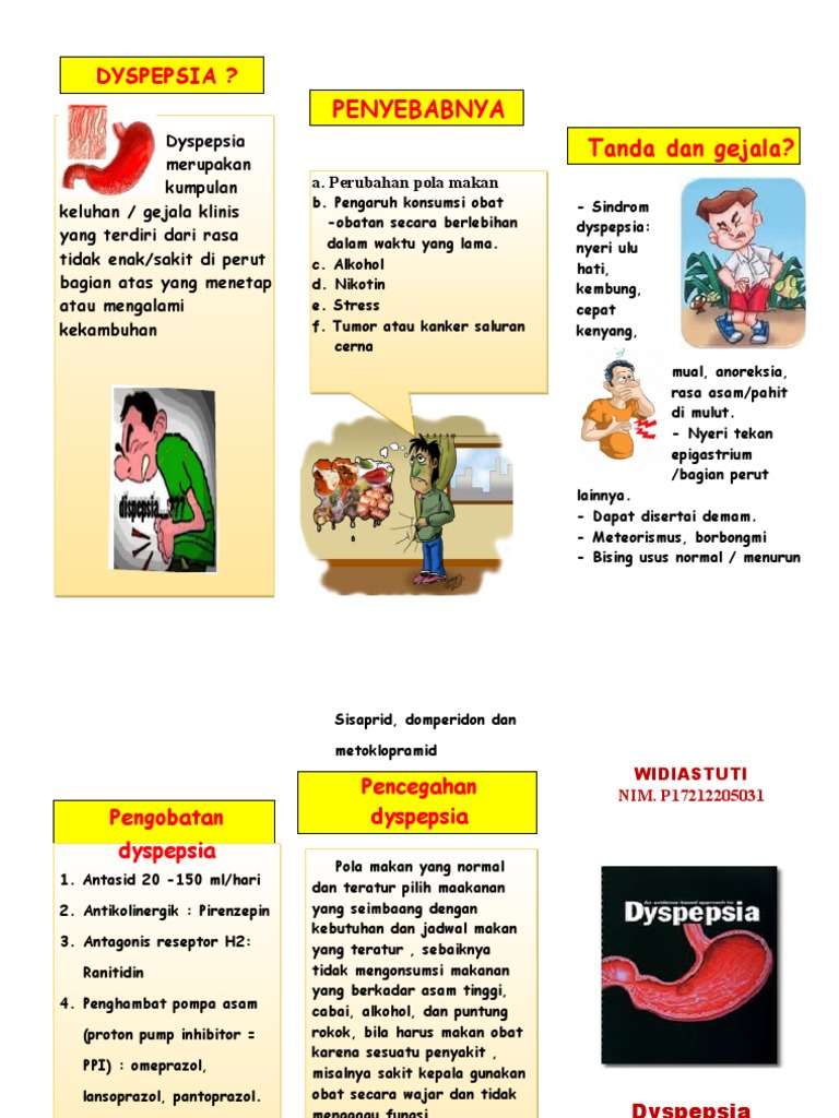 Leaflet Dyspepsia | PDF