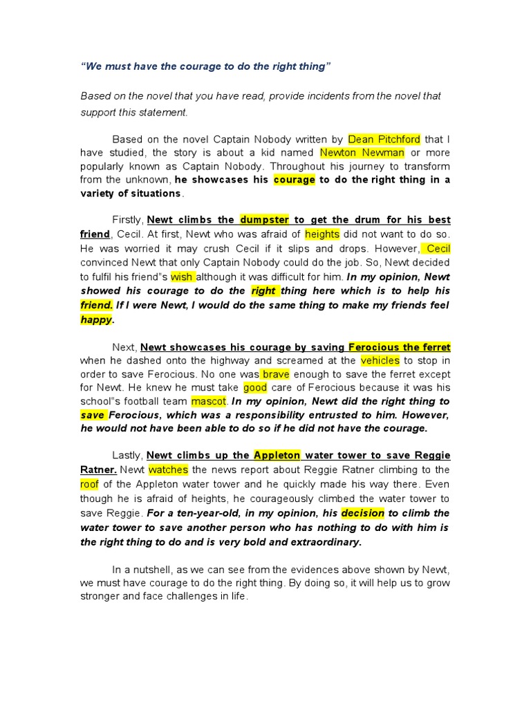 Answer - Captain Nobody | PDF | General Fiction