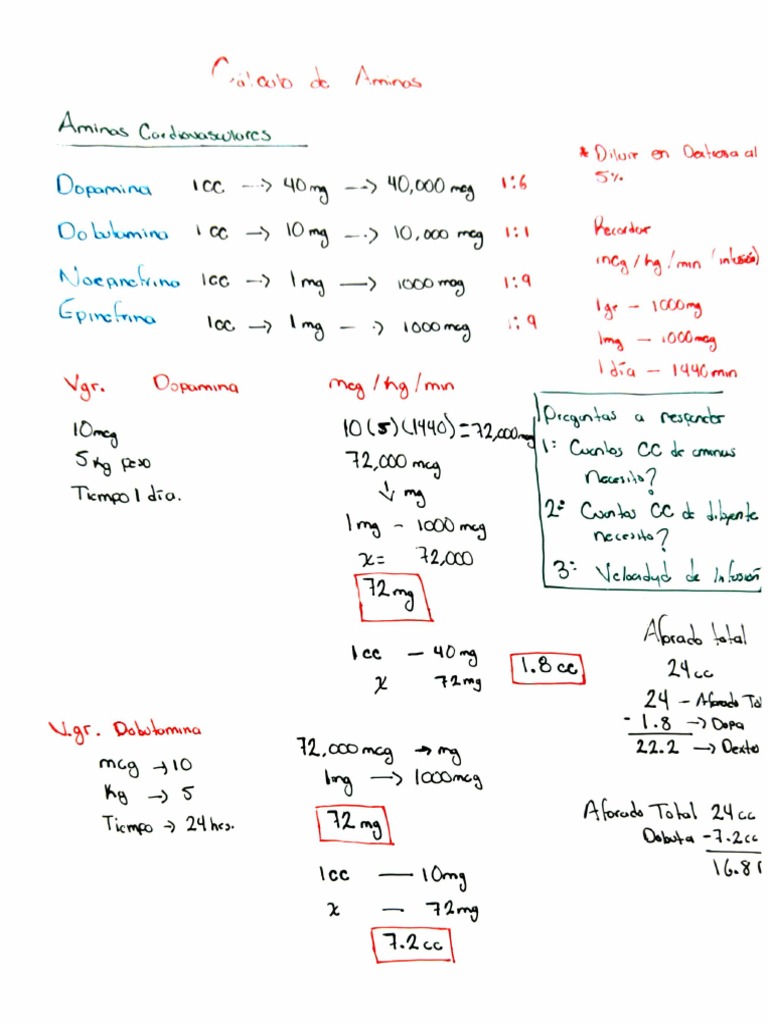 Calculo de Aminas | PDF