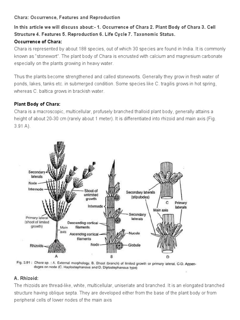 Occurrence of Chara | PDF | Sexual Reproduction | Biological Interactions