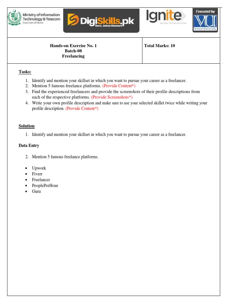 Hands-On Exercise No. 1 Batch-08 Freelancing Total Marks: 10 | PDF