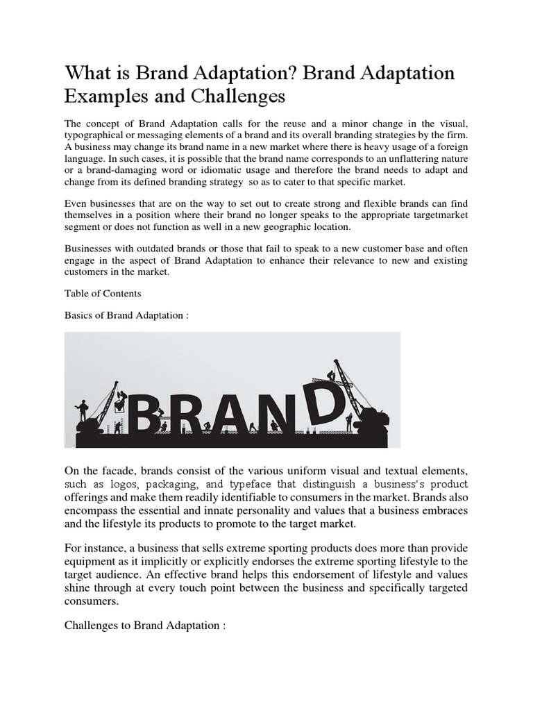 What Is Brand Adaptation | PDF | Brand | Target Audience