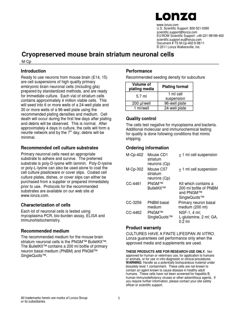 Lonza BenchGuides Cryopreserved Mouse Brain Striatum Neuronal Cells ...
