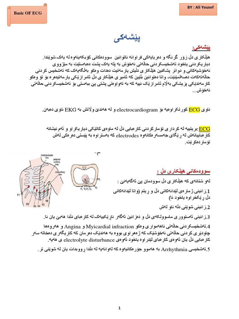 ECG Basic Lecture One PDF | PDF