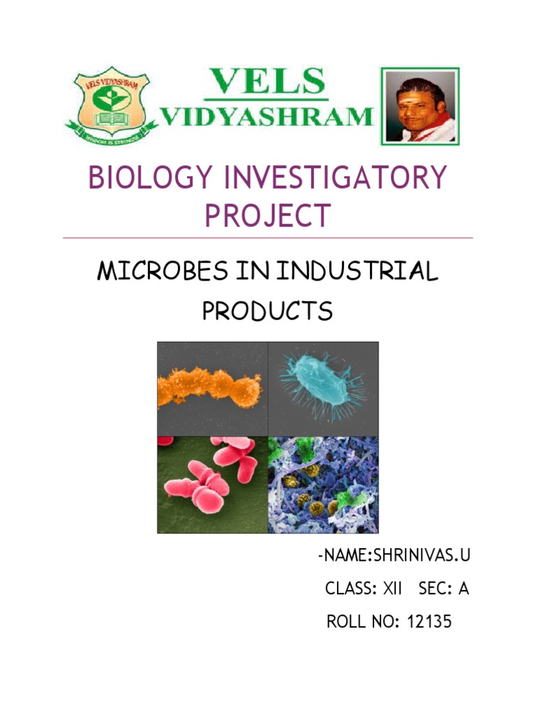 Bio Investigatory Project 12 Completed | PDF | Sewage Treatment ...
