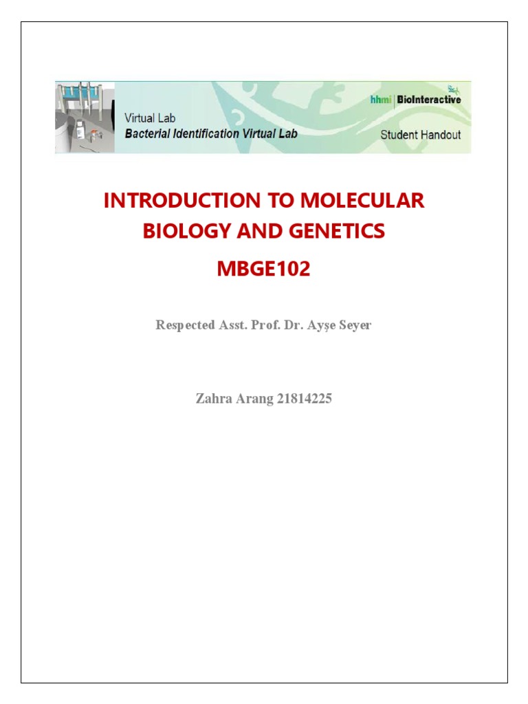 Introduction To Molecular Biology and Genetics | PDF | Polymerase Chain ...