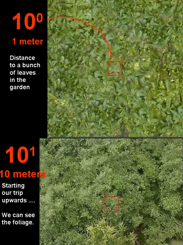 A Voyage Through Scale: Observing the Universe and Beyond from ...