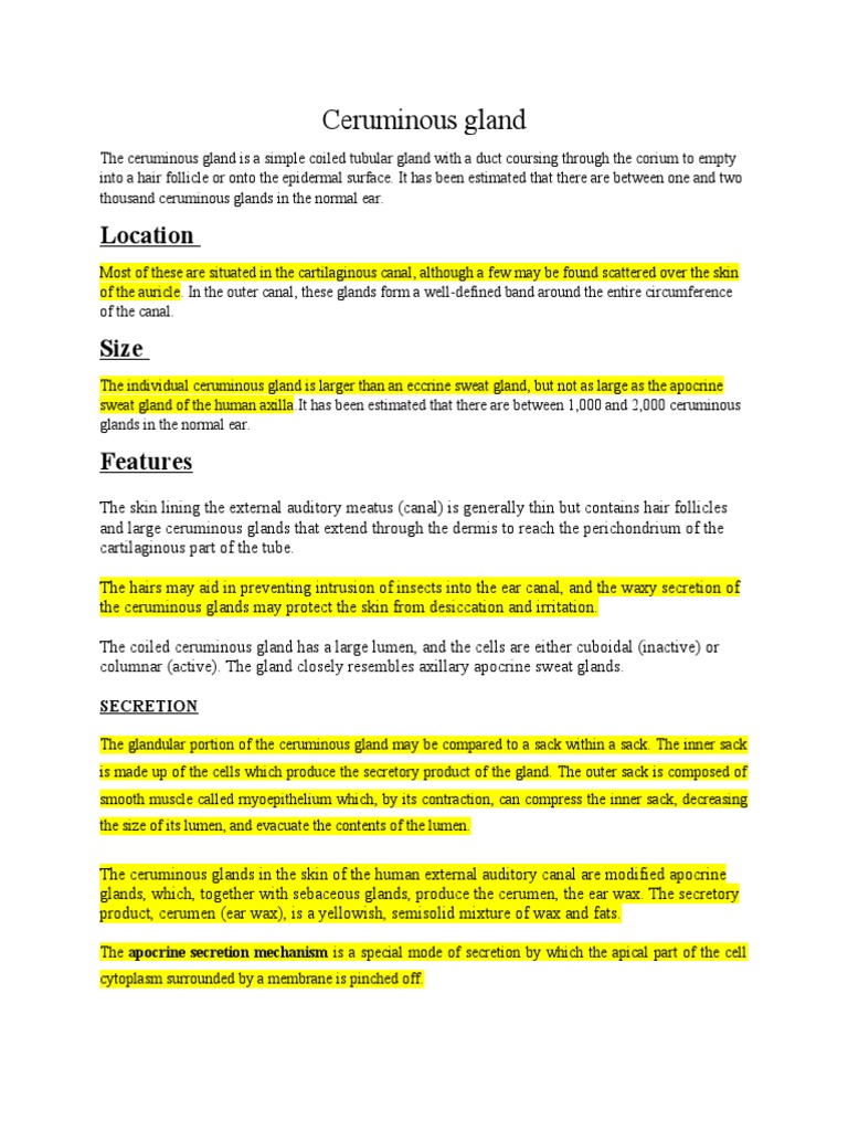 Ceruminous Modified | PDF | Human Anatomy | Organ (Anatomy)