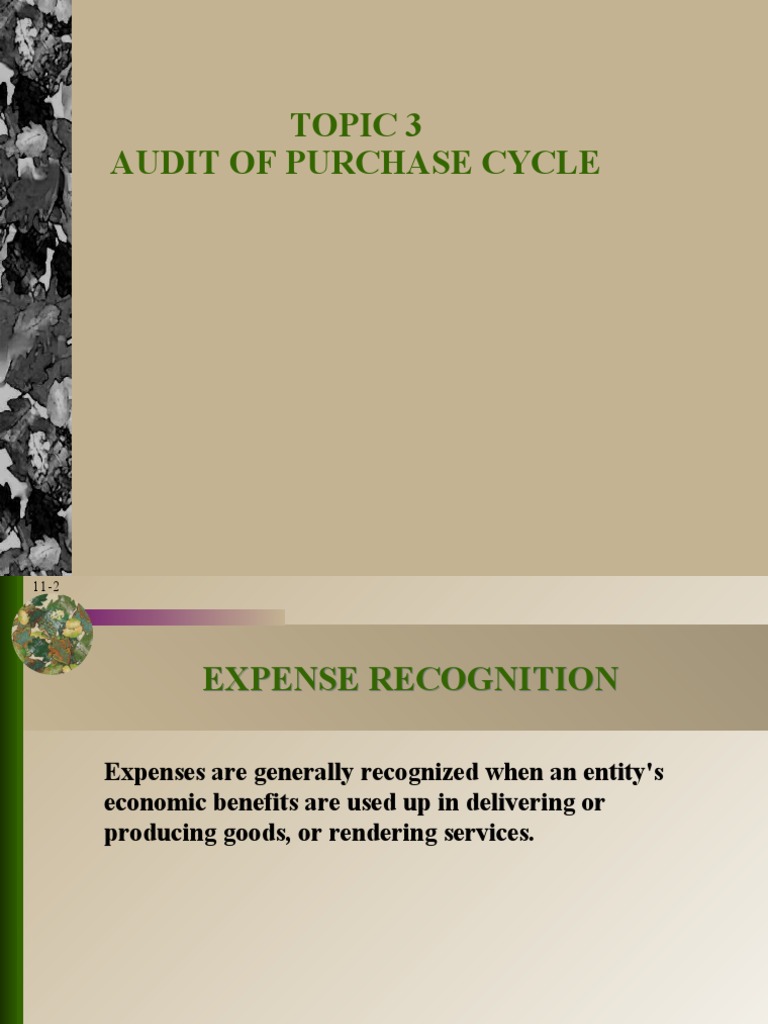 Topic 3 Audit of Purchase Cycle: Irwin/Mcgraw-Hill | PDF | Accounts ...