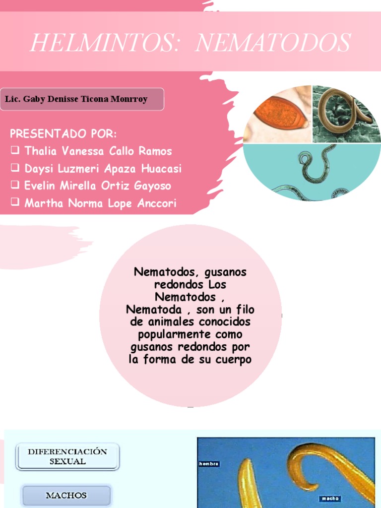 HELMINTOS | PDF | Especialidades Medicas | Medicina CLINICA