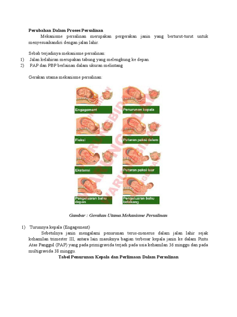 Mekanisme Persalinan | PDF
