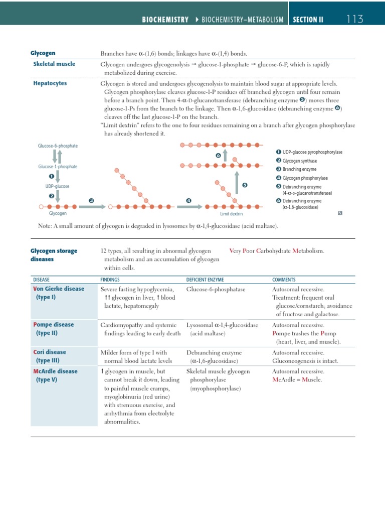 Pediatrics Storage Diseases | PDF | Glycogen | Enzyme