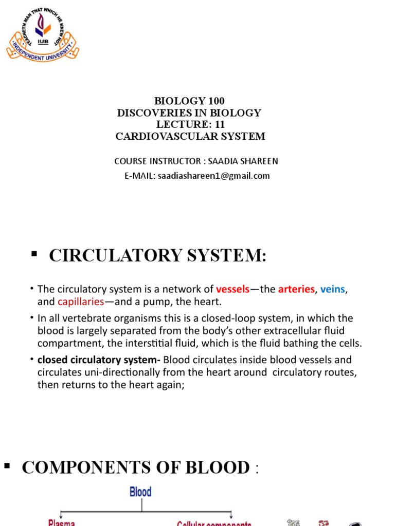 Biology 100 Discoveries in Biology Cardiovascular System: Course ...
