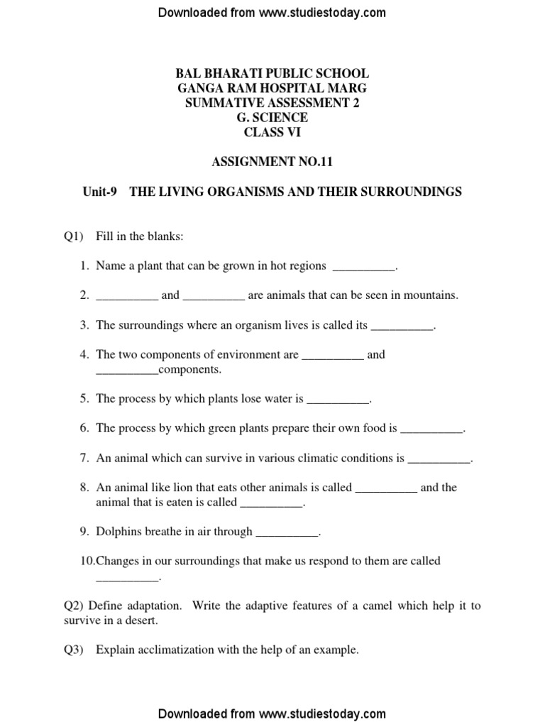 CBSE Class 6 Science Practice Worksheets PDF | PDF | Plants | Habitat