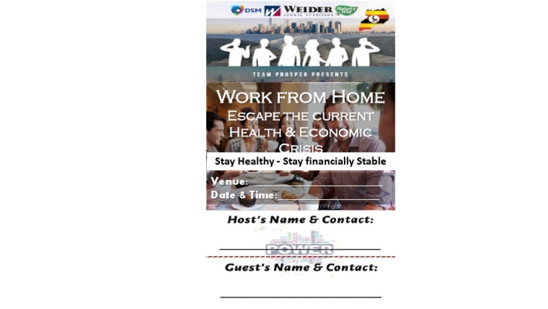 Work From Home PDF | PDF