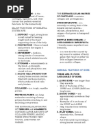 Muscle OIA | PDF | Vertebral Column | Vertebra