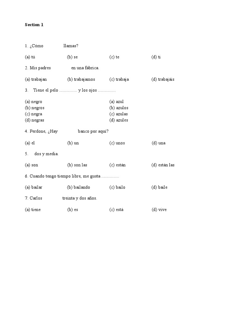 Spanish Level 1 Exam | PDF