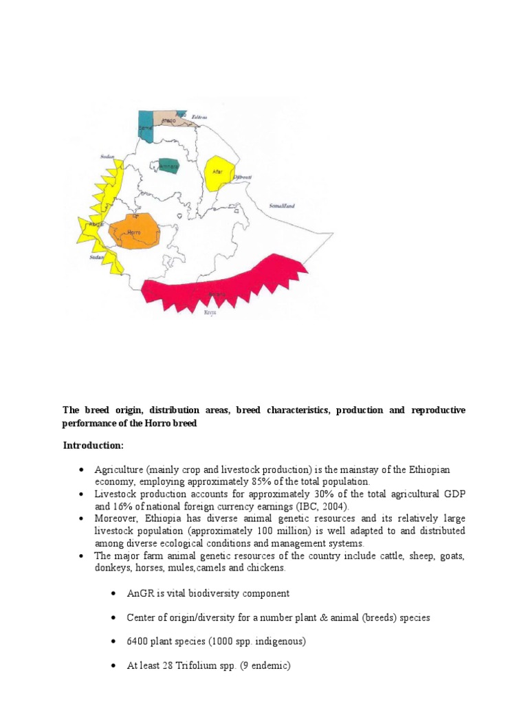 Breed Characteristics of Horro Cattel - docxPP | PDF | Cattle | Ethiopia