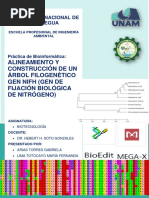 Uso Del Software Mega - DNA | PDF | Adn | Alineación de secuencia