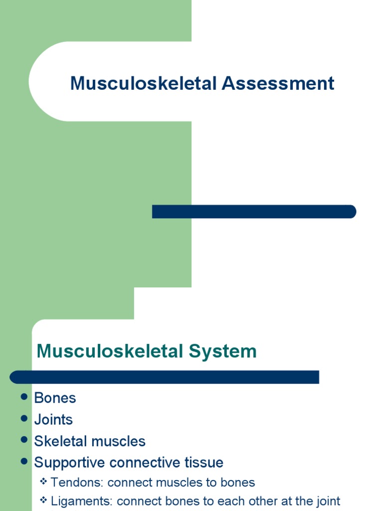 Musculoskeletal Physical Exam Guide | PDF | Anatomical Terms Of Motion ...