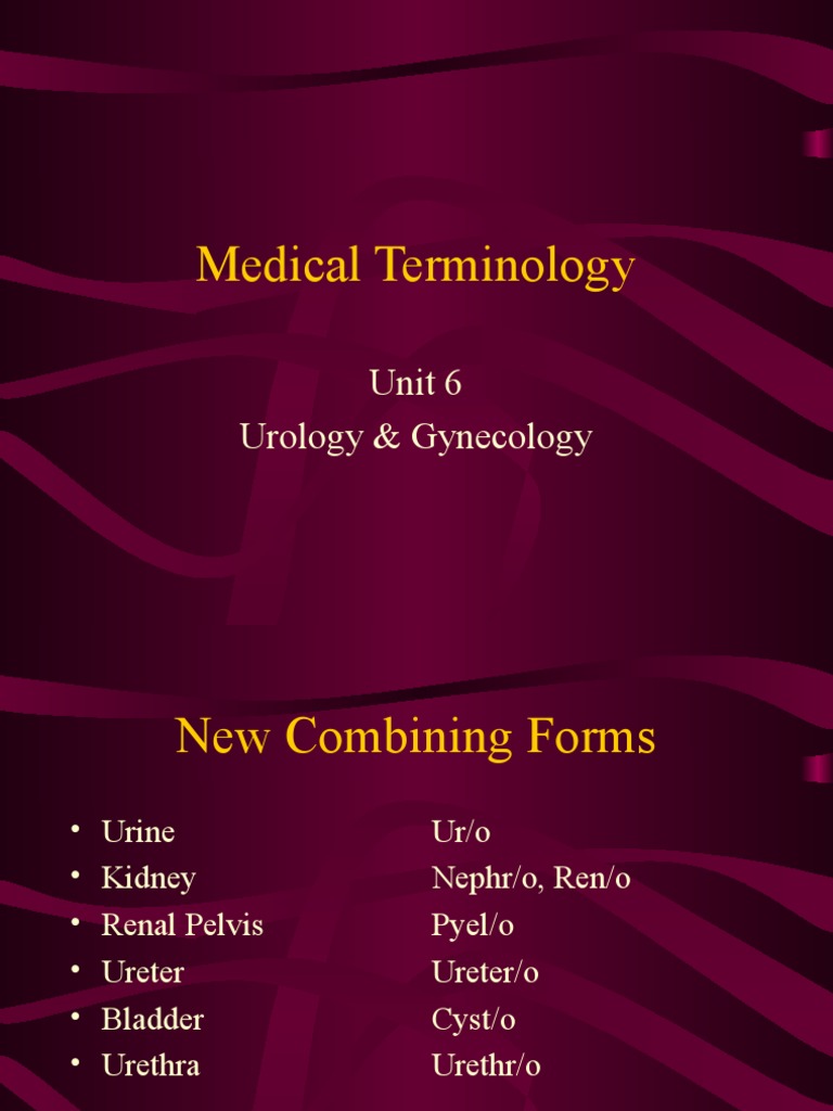 Urology and Gynecology Medical Terms | PDF | Urinary System | Kidney
