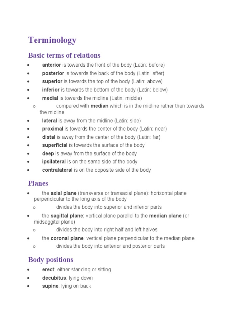 A Comprehensive Guide to Radiographic Terminology, Planes, Positions ...