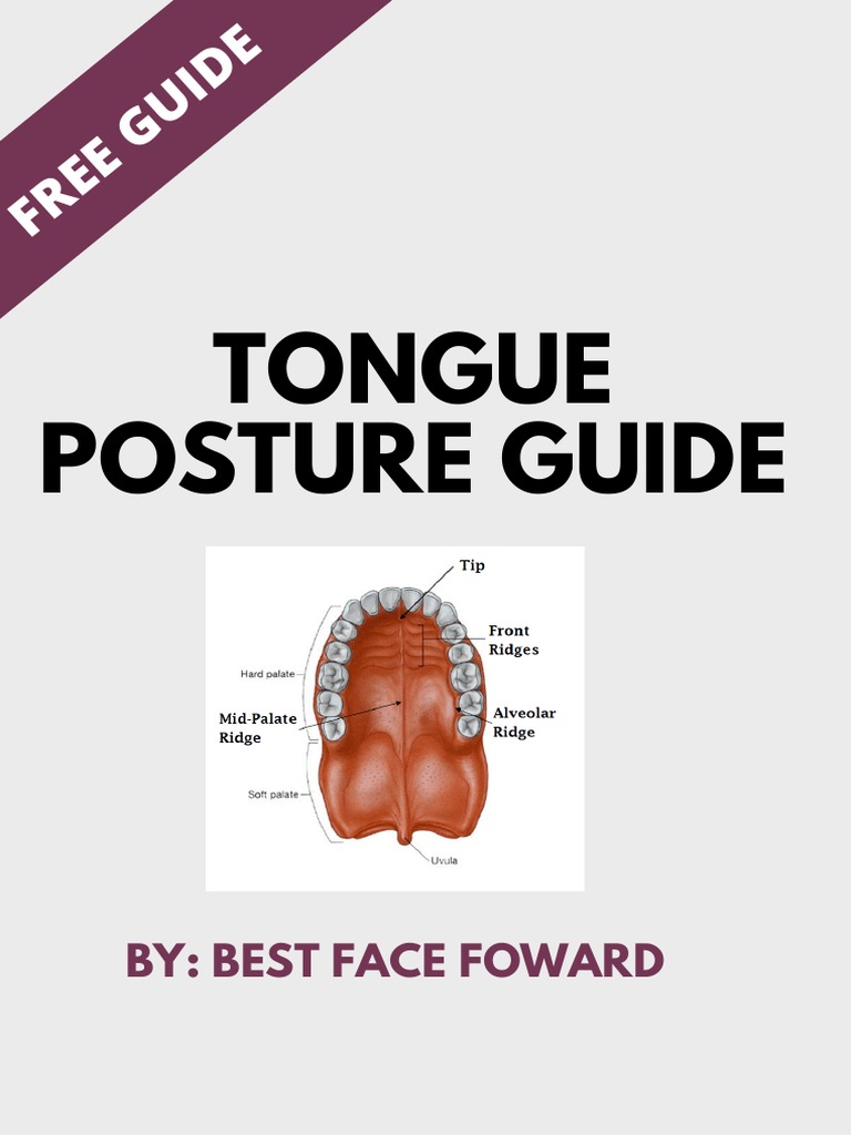 Tongue Posture Guide By Best Face Foward Pdf Lip Tongue