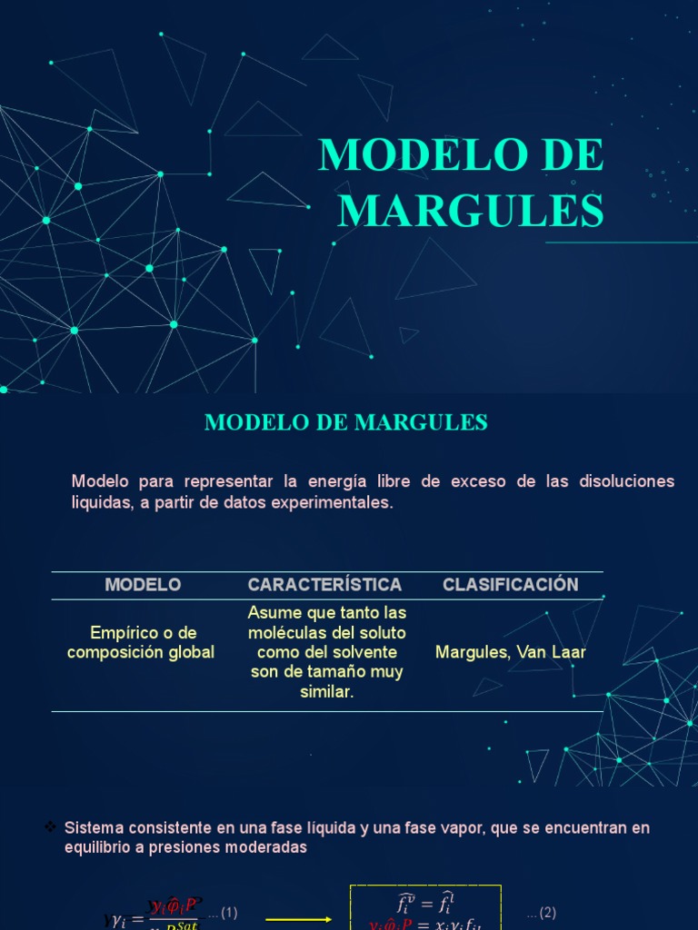 Modelo Margules Termo 2 | PDF | Mecánica | Física