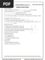 CBSE Class 6 Worksheet - Components of Food | PDF | Vitamin | Dietary Fiber