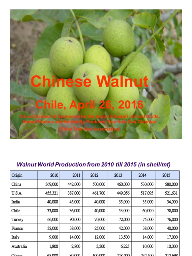 Chinese Walnut: Chile, April 26, 2016 | PDF | Walnut | China