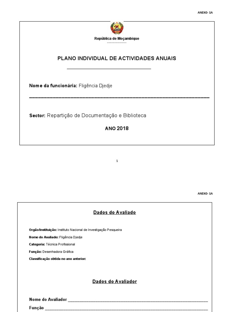 Plano de Actividades Individuais | PDF | Business