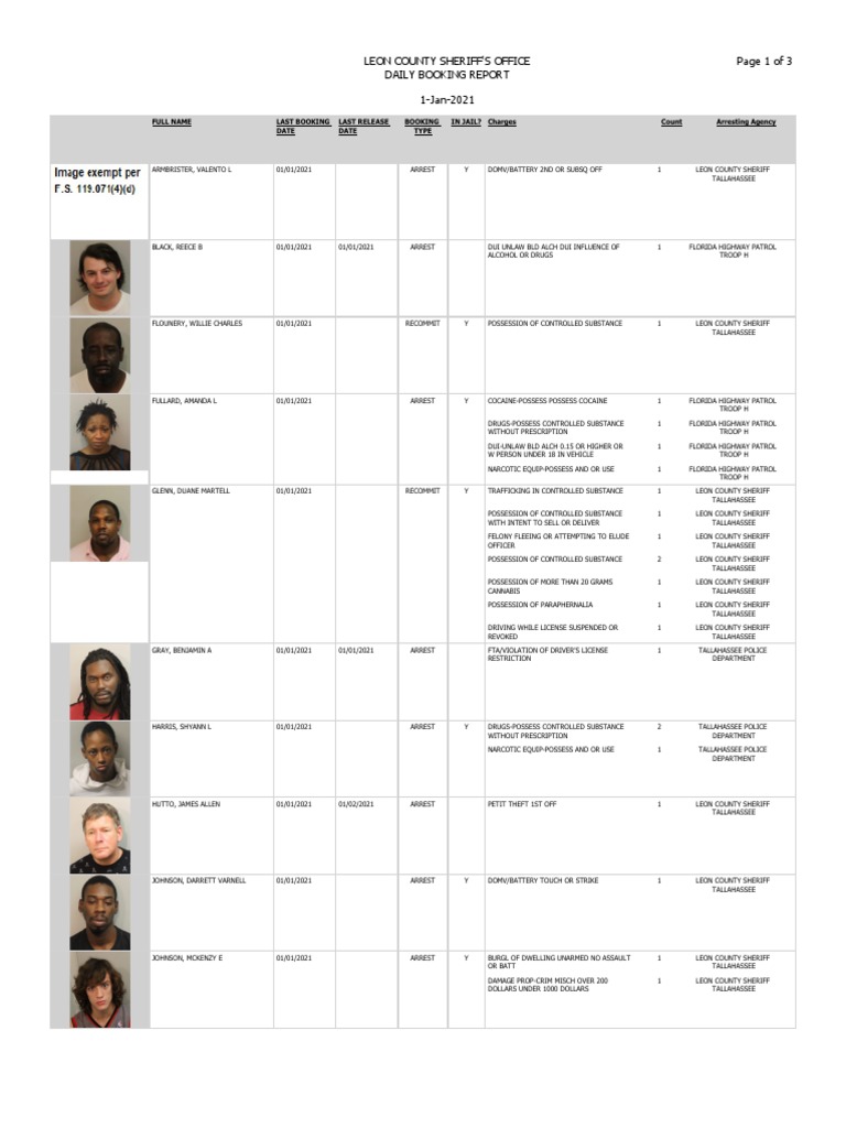 Leon County Booking Report: Jan. 2, 2020 | PDF | Driving Under The ...