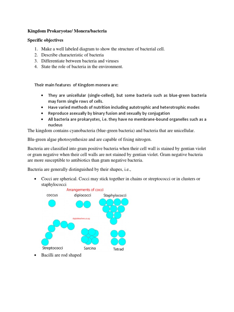 Kingdom Prokaryotae/ Monera/bacteria Specific Objectives | PDF ...