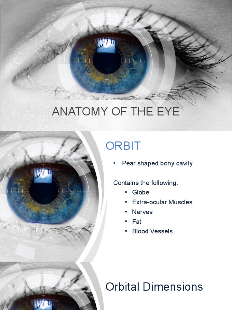 Eye Scanning Ophthalmology PowerPoint Template | PDF | Cornea | Human ...