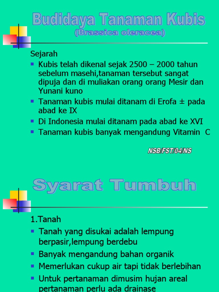Budidaya Tanaman Kubis | PDF