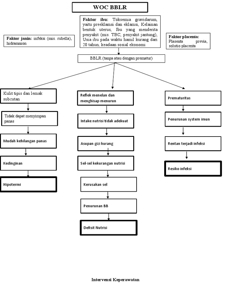 WOC BBLR Kuncoro | PDF