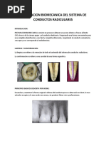 Clasificacion de Vertucci | PDF | Diente | Anatomia dental