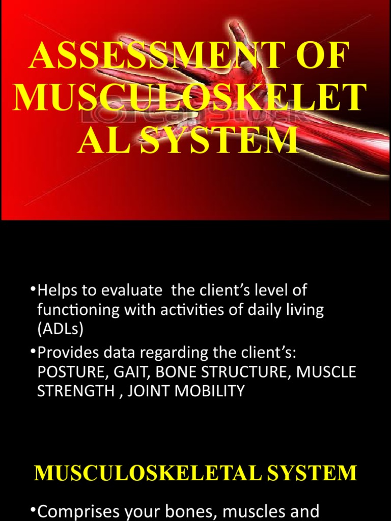 Assessment of Musculoskelet Al System | PDF | Anatomical Terms Of ...